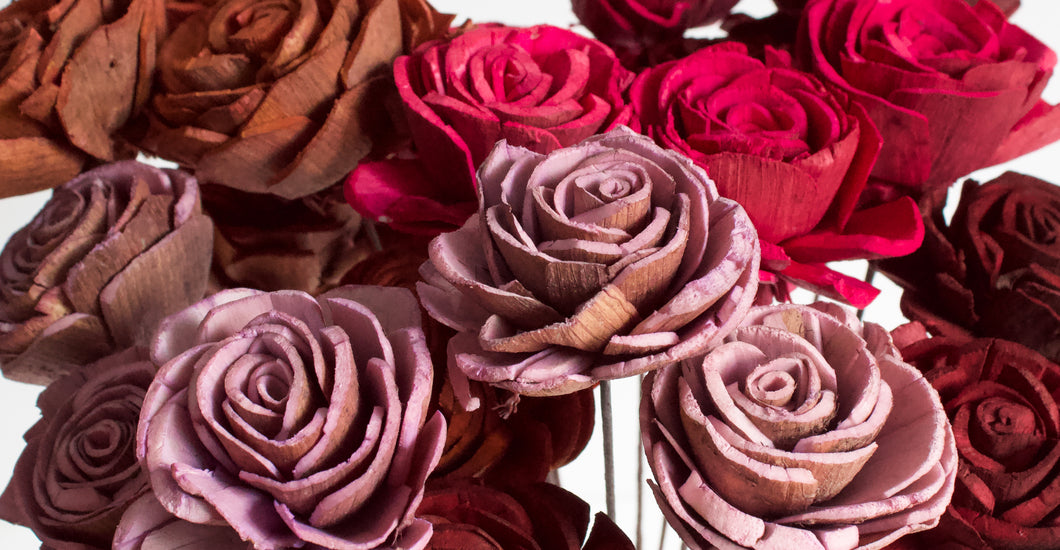 Sola Flowers: What Are They, and How To Use Them – Roxanne's Dried Flowers