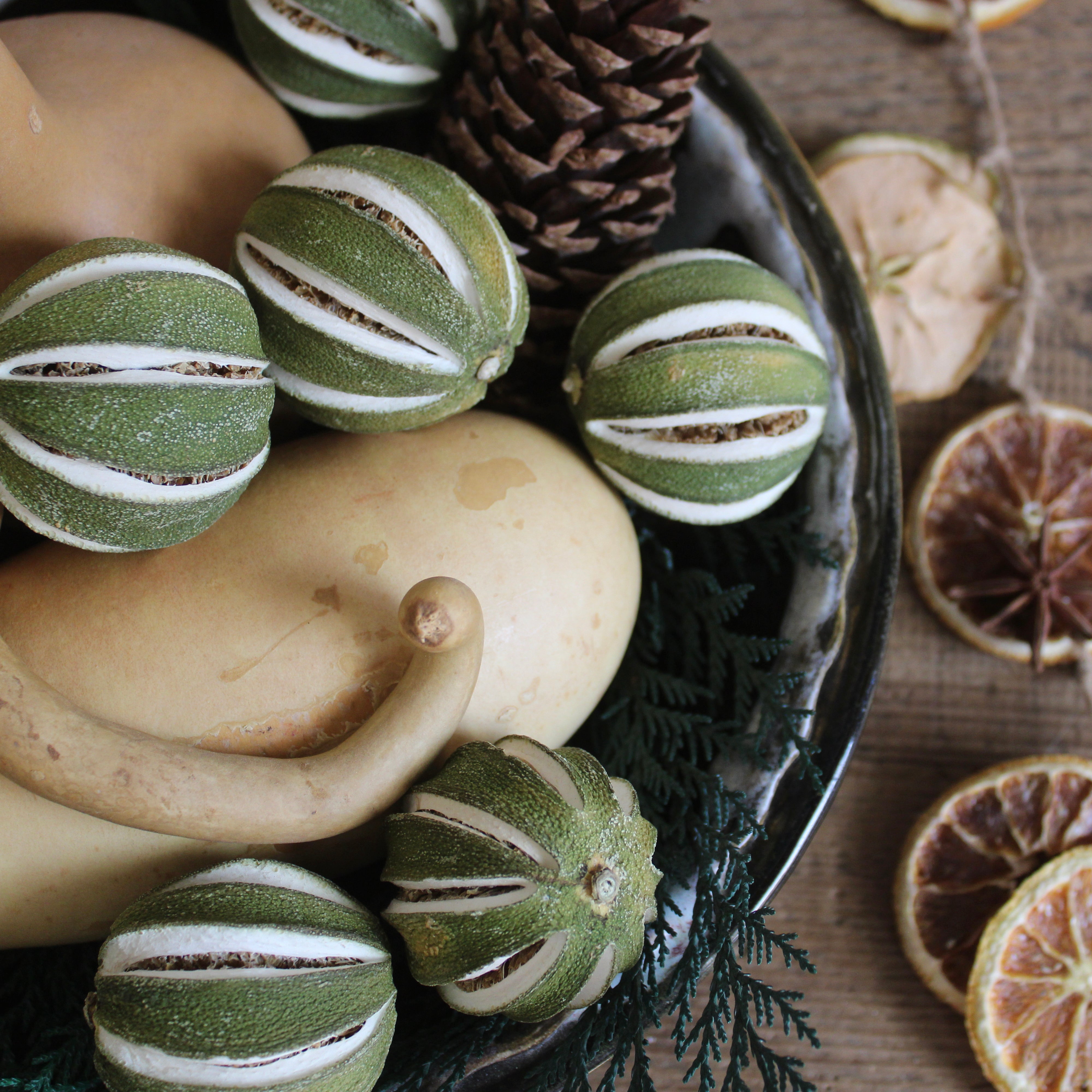 Fruits & Pods – Roxanne's Dried Flowers