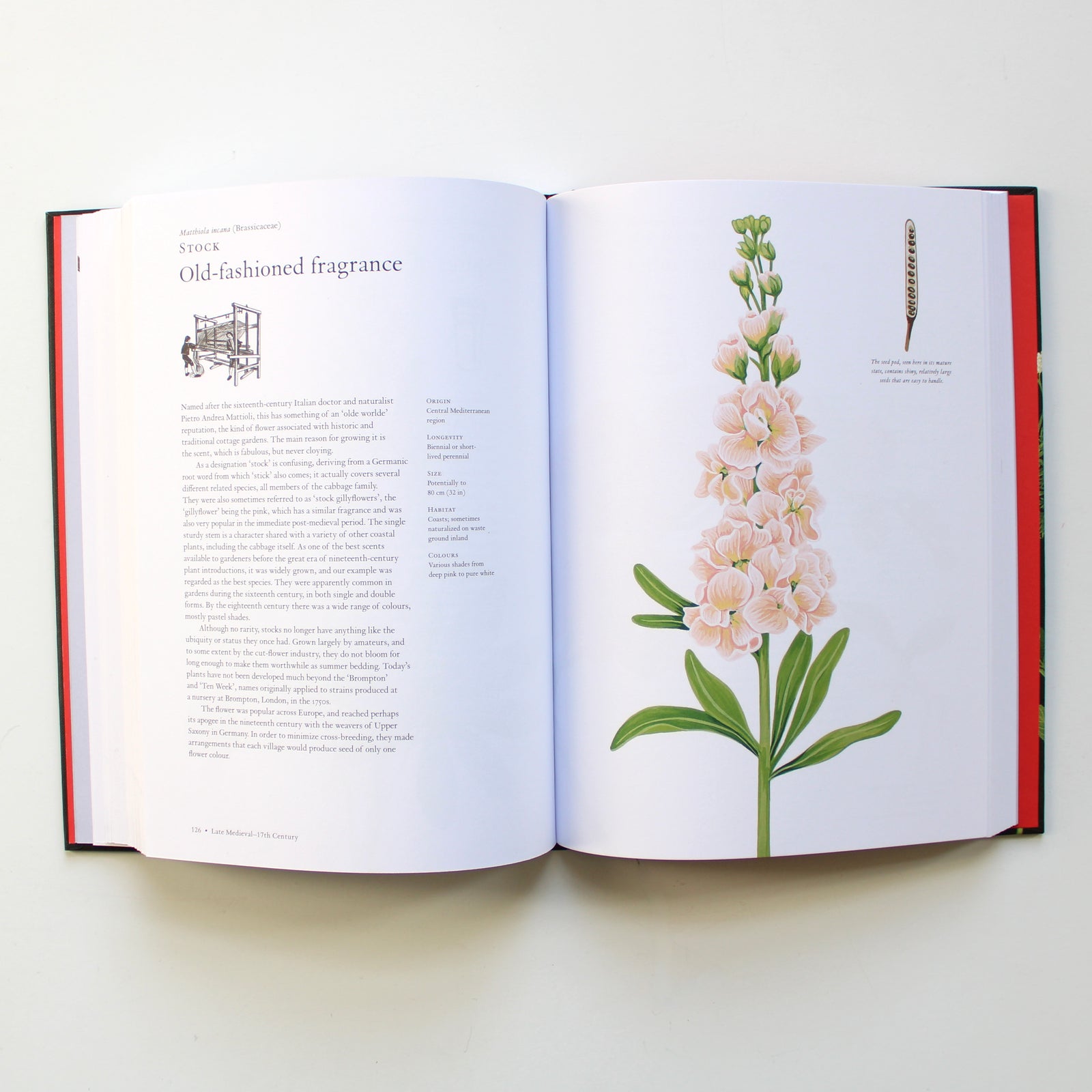 The Story of Flowers: And How They Changed the Way We Live – Roxanne's ...