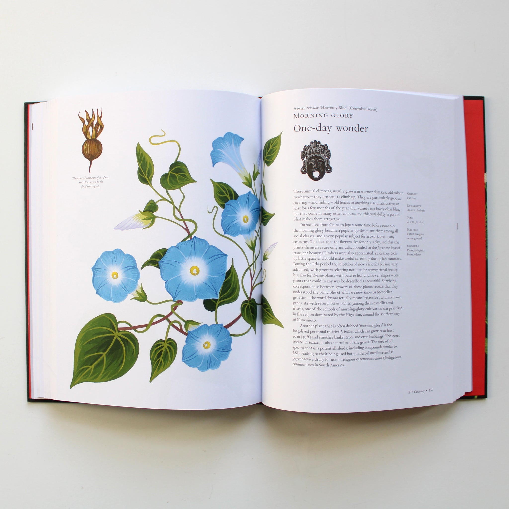 The Story of Flowers: And How They Changed the Way We Live