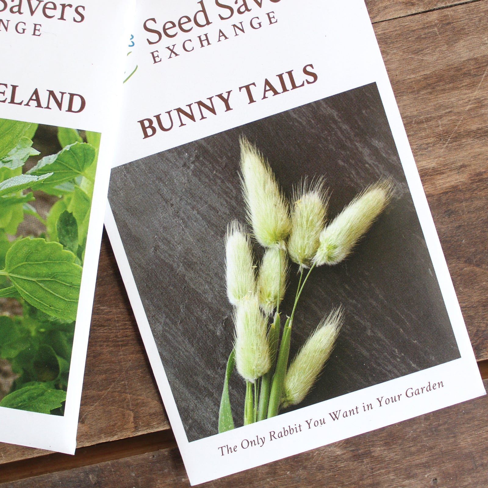 Herbs and Flowers Seeds From Seed Savers Exchange – Roxanne's Dried Flowers