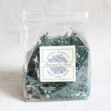 Preserved Juniper Tips – Roxanne's Dried Flowers
