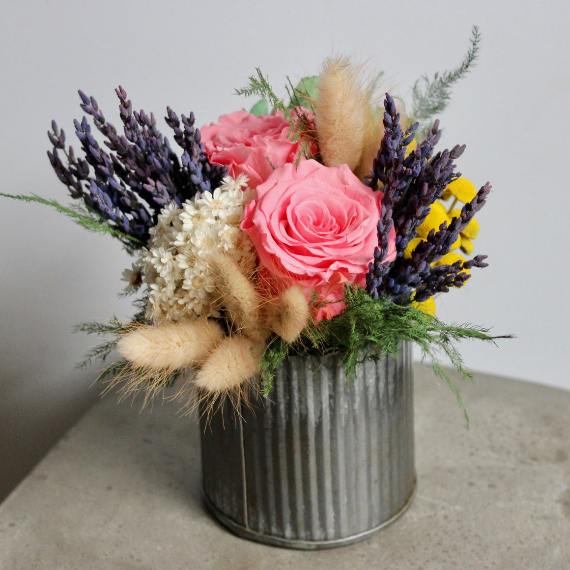 Dried Marcela Star Flower – Roxanne's Dried Flowers