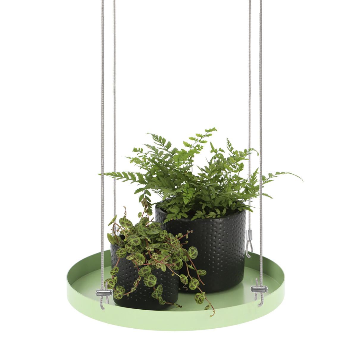 Windowsill Clamp Tray – Roxanne's Dried Flowers